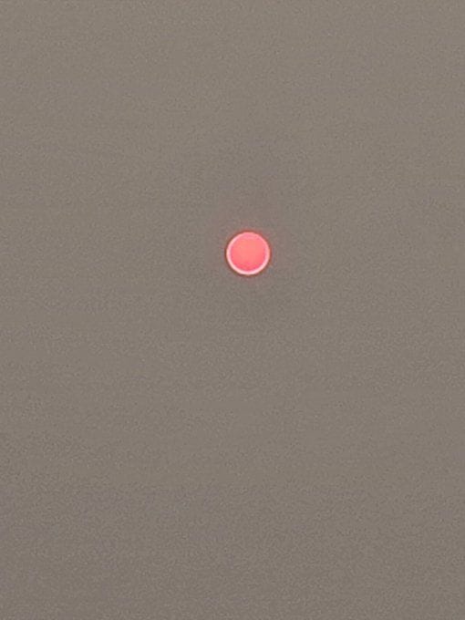 New York Yankees fans react to smoke from Canadian wildfires shrouding ...