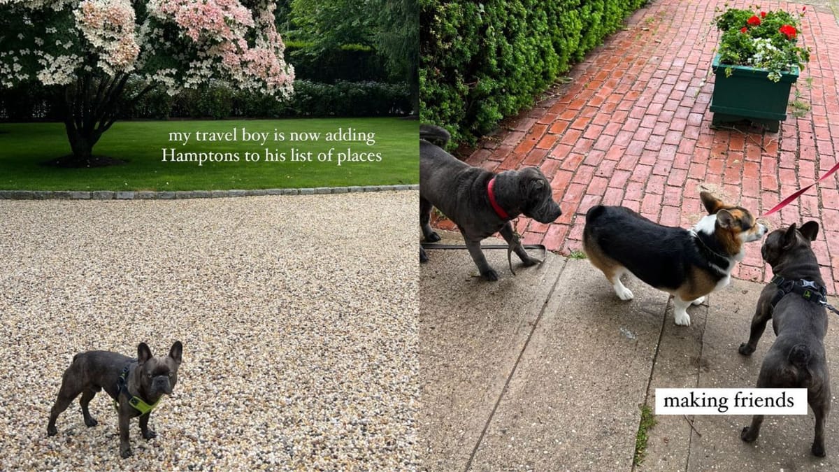 IN PHOTOS: Rob Gronkowski and Camille Kostek pick Hamptons as lavish ...