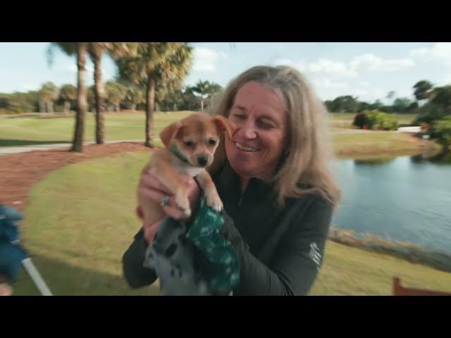 Who is LPGA Commissioner Mollie Marcoux? 5 things to know about the ...