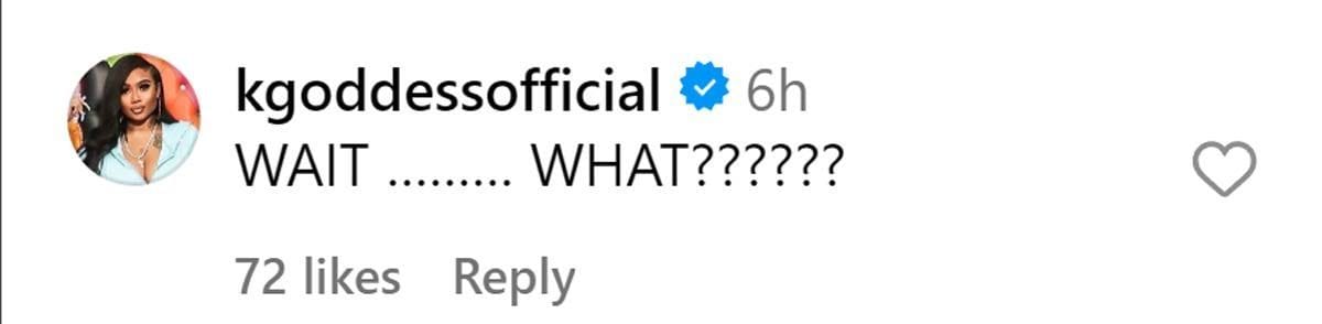 Japanese: "Dude said Animorphs": Toco Japanese man dog costume leaves ...