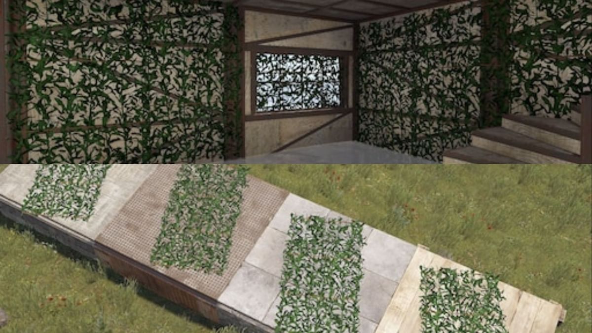 Rust weekly store rotation (July 6): Deep Sea Poncho, Kelp Rug, and more