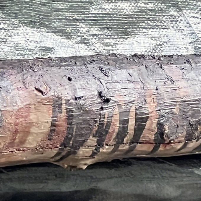 House of the Dragon season 2 leaks confirm a major death on the horizon