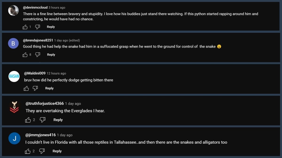 “Jurassic world”: Video of 19-foot-long Burmese python in Florida ...