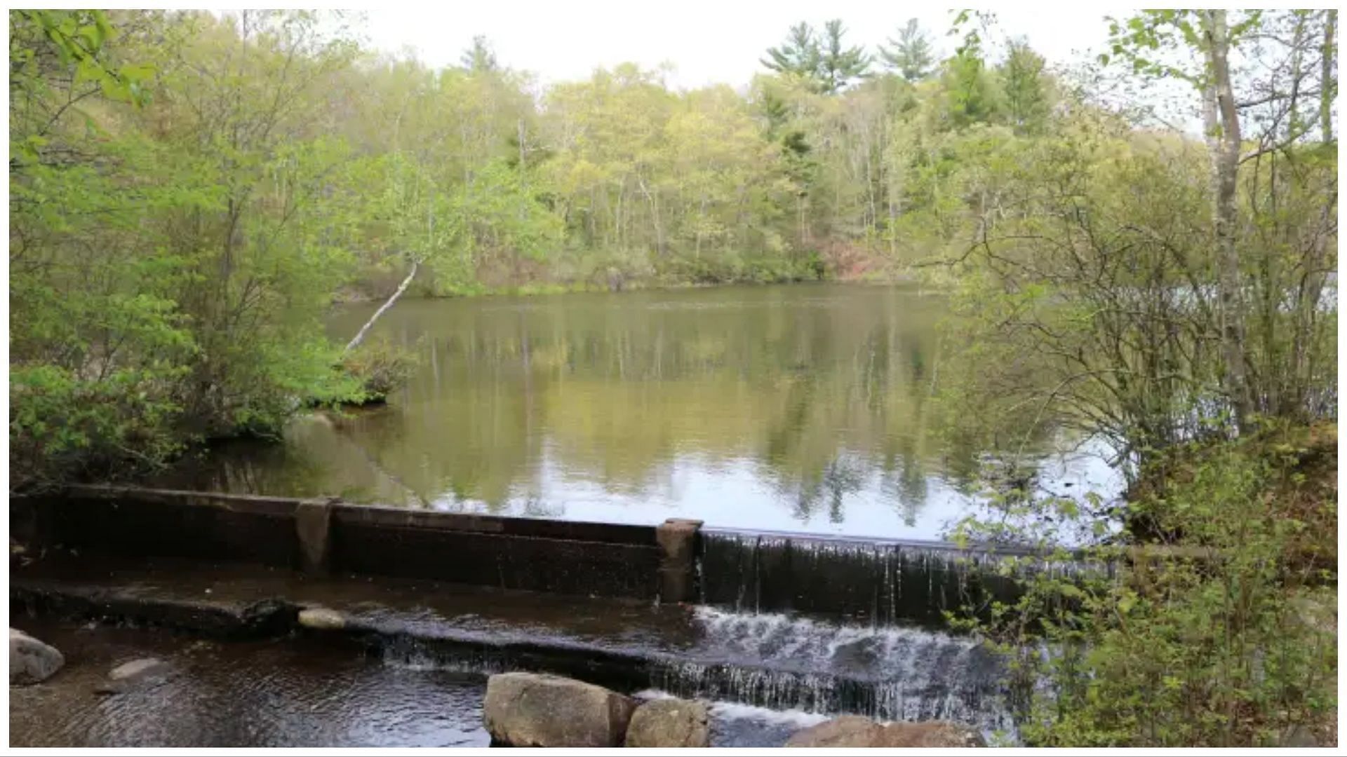 Where Was Emma Tetewsky Found Missing Woman In Borderland State Park