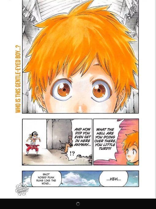 The ending of Bleach manga, explained