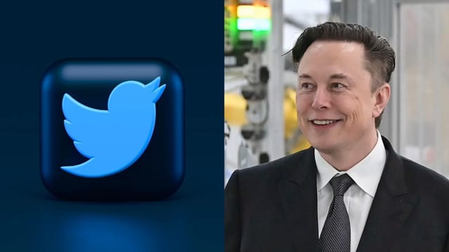 Elon Musk: "Bro please kill Twitter": Internet reacts to a possible ...