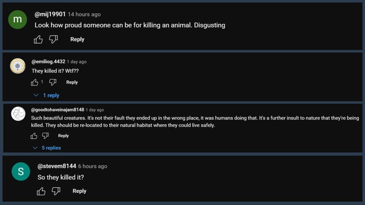 “Jurassic world”: Video of 19-foot-long Burmese python in Florida ...