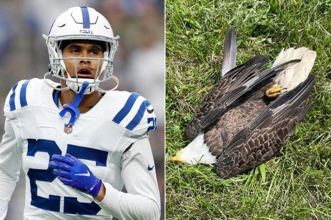 What happened to Rodney Thomas II's father? Colts safety's dad arrested ...