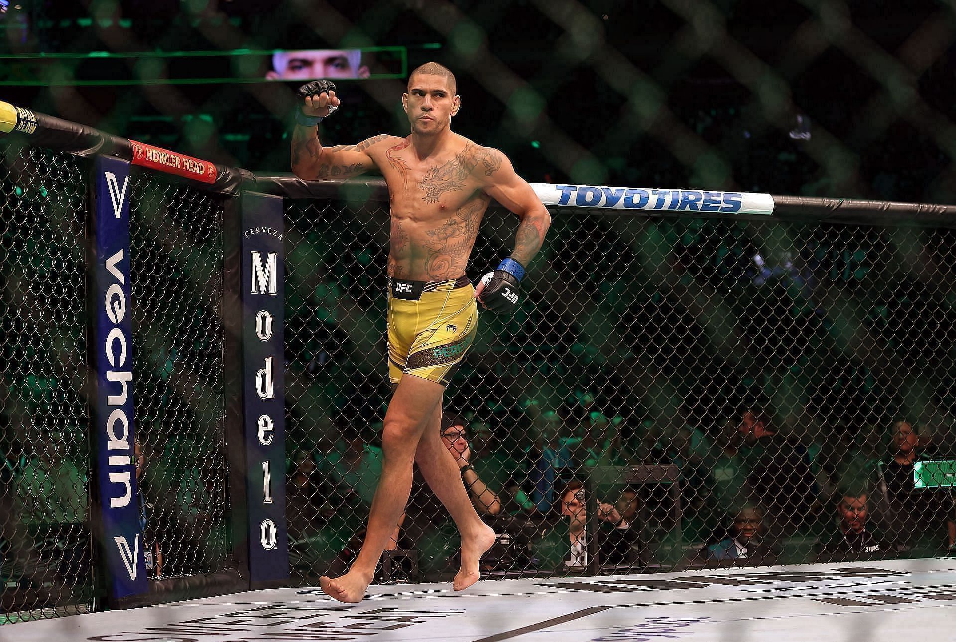 Alex Pereira Next Fight: Opponent, Date, Venue & Tickets
