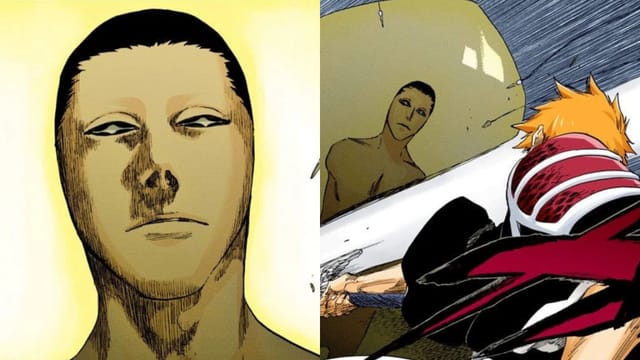 Was Ichigo supposed to be Soul King in Bleach? Explained