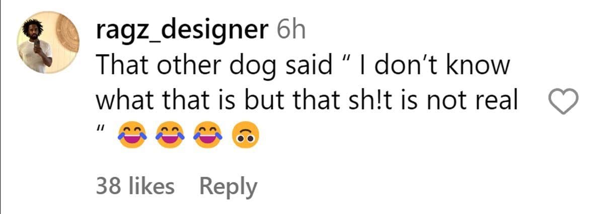 Japanese: "Dude said Animorphs": Toco Japanese man dog costume leaves ...