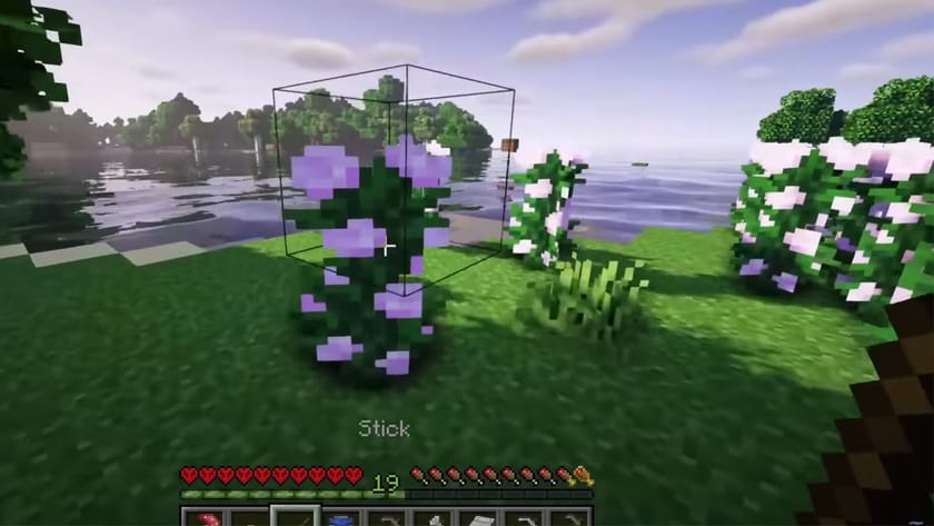 How to get and use every flower in Minecraft 1.20?