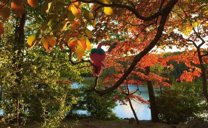 winged Pikmin: Pikmin 4: How to get Winged Pikmin