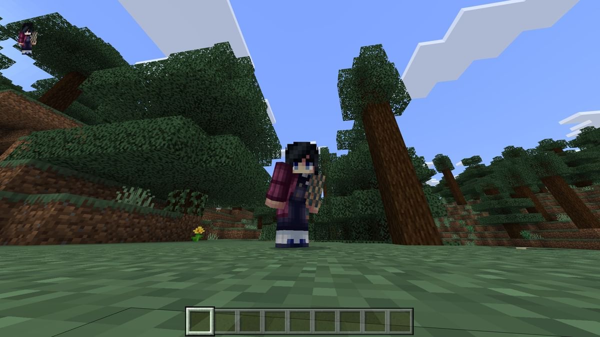 How to hide your gamertag in Minecraft