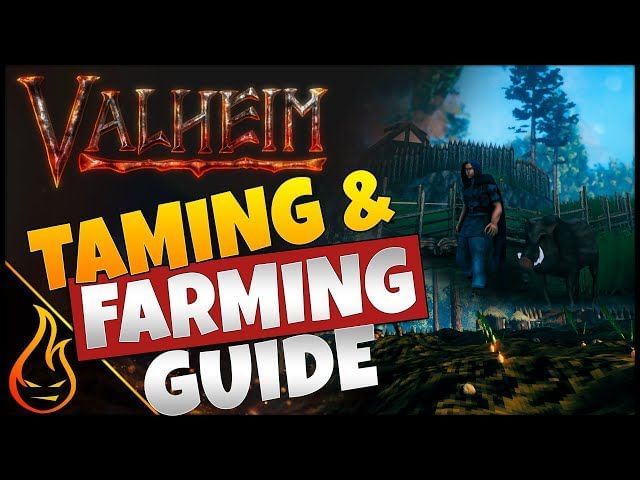 10 tips and tricks for beginners in Valheim