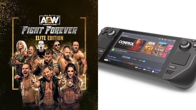 Best AEW Fight Forever graphics settings for Steam Deck