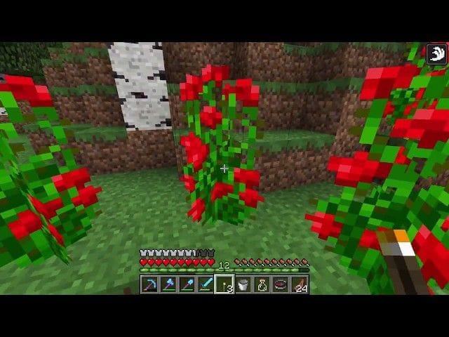 How to get and use every flower in Minecraft 1.20?