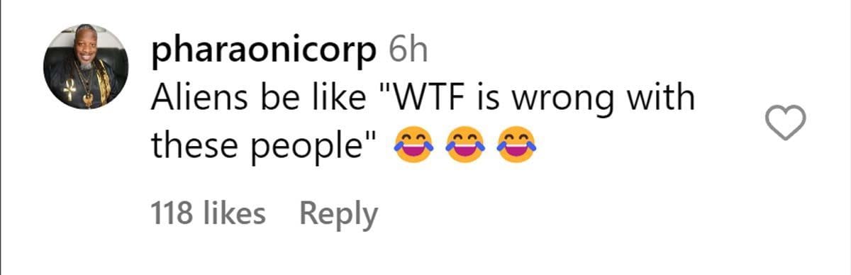 Japanese: "Dude said Animorphs": Toco Japanese man dog costume leaves ...