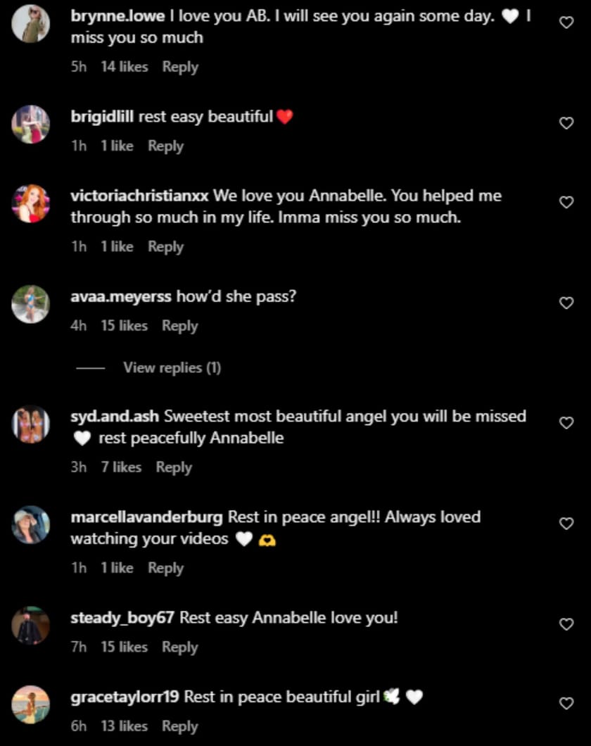 Annabelle Ham car accident claim goes viral as tributes pour in for 22 ...