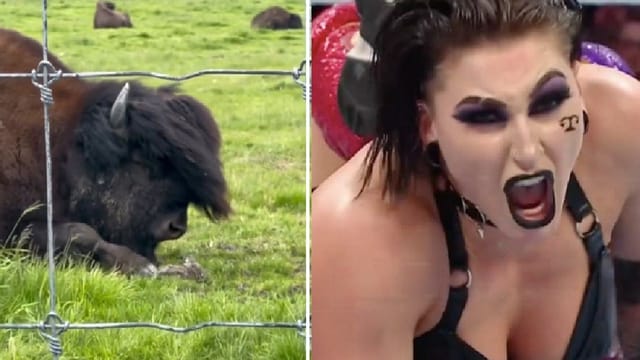 Rhea Ripley reacts as 32-year-old star compares her to an "emo buffalo"
