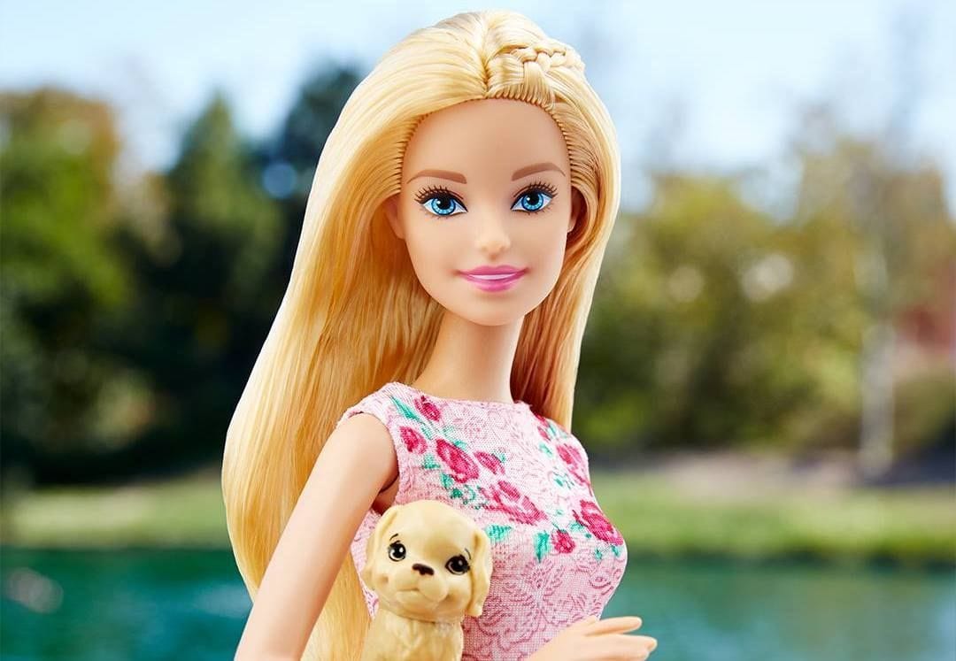 How old is Barbie in Barbie: Life in the Dreamhouse?