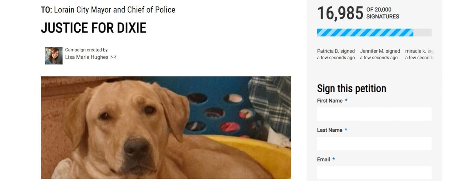 Elliott Palmer petition amasses over 16,590 signatures after cop ...