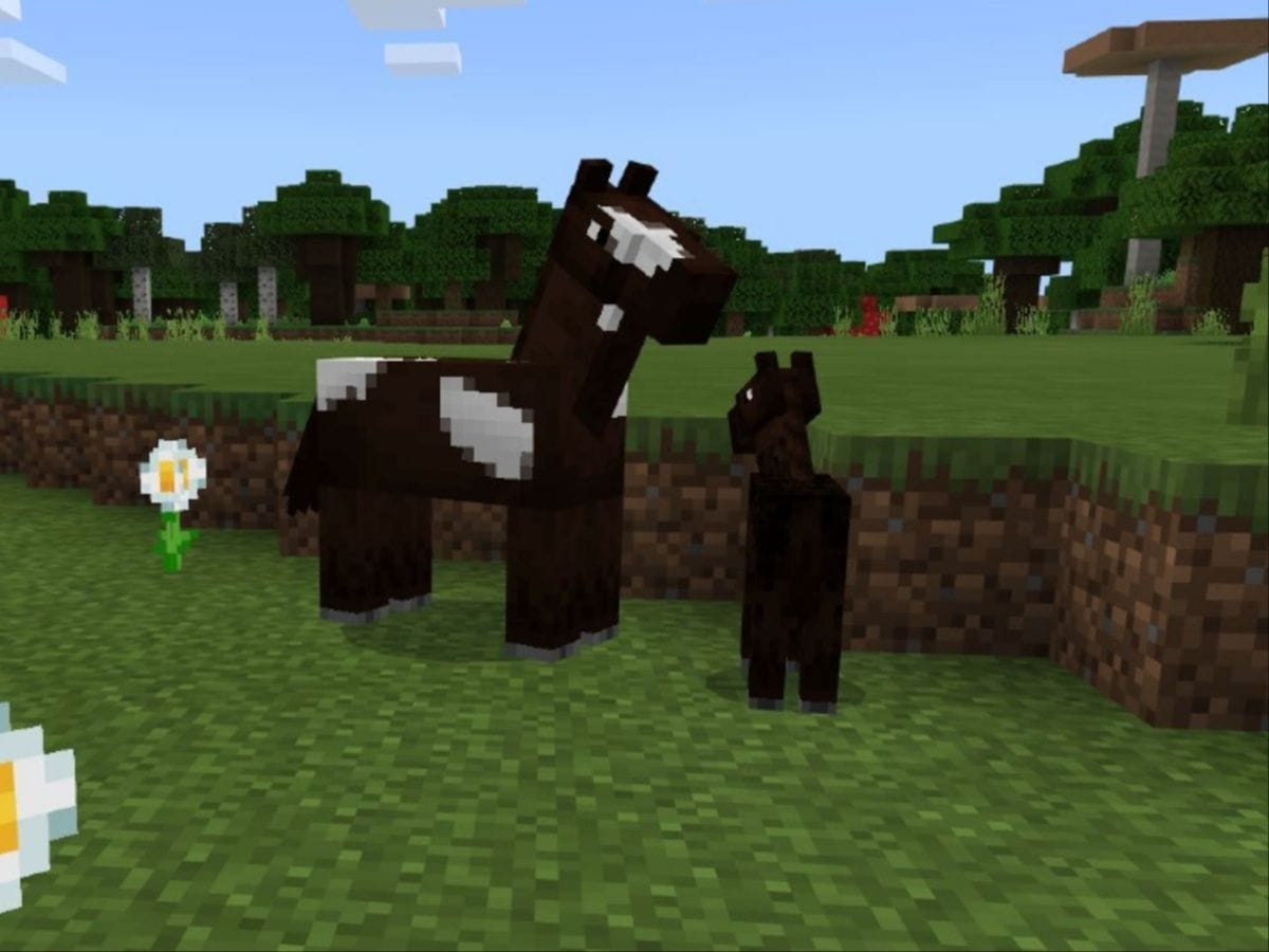 pets: How to heal pets in Minecraft