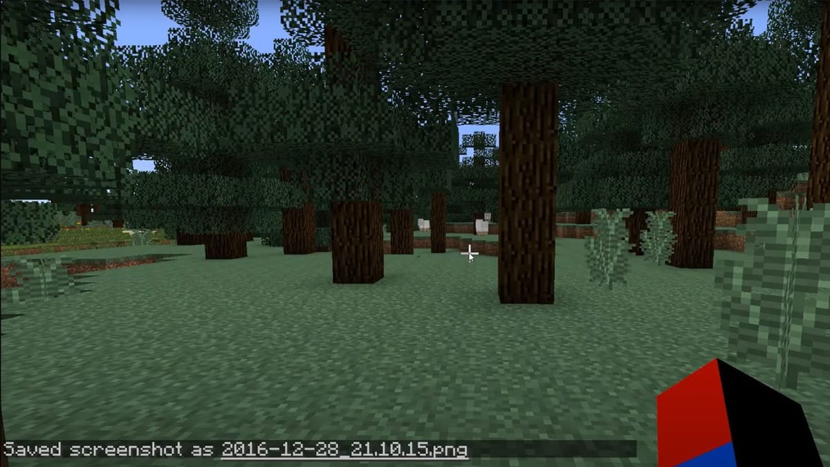 Minecraft screenshot guide: Shortcut key, folder location, and more