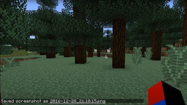 Minecraft screenshot guide: Shortcut key, folder location, and more