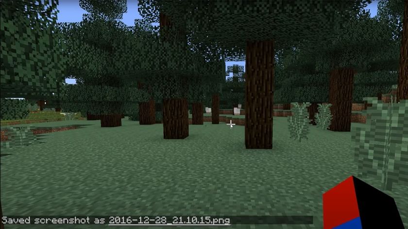 Minecraft screenshot guide: Shortcut key, folder location, and more