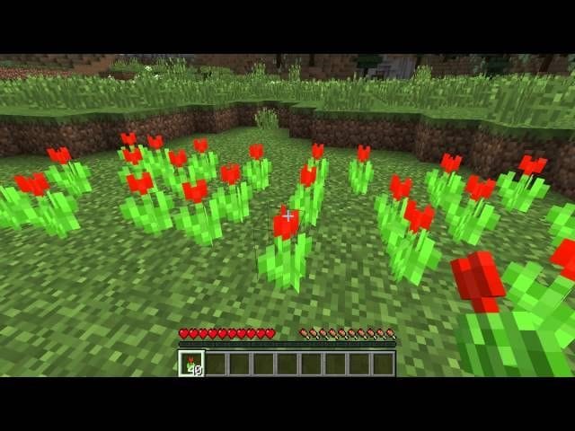 How to get and use every flower in Minecraft 1.20?