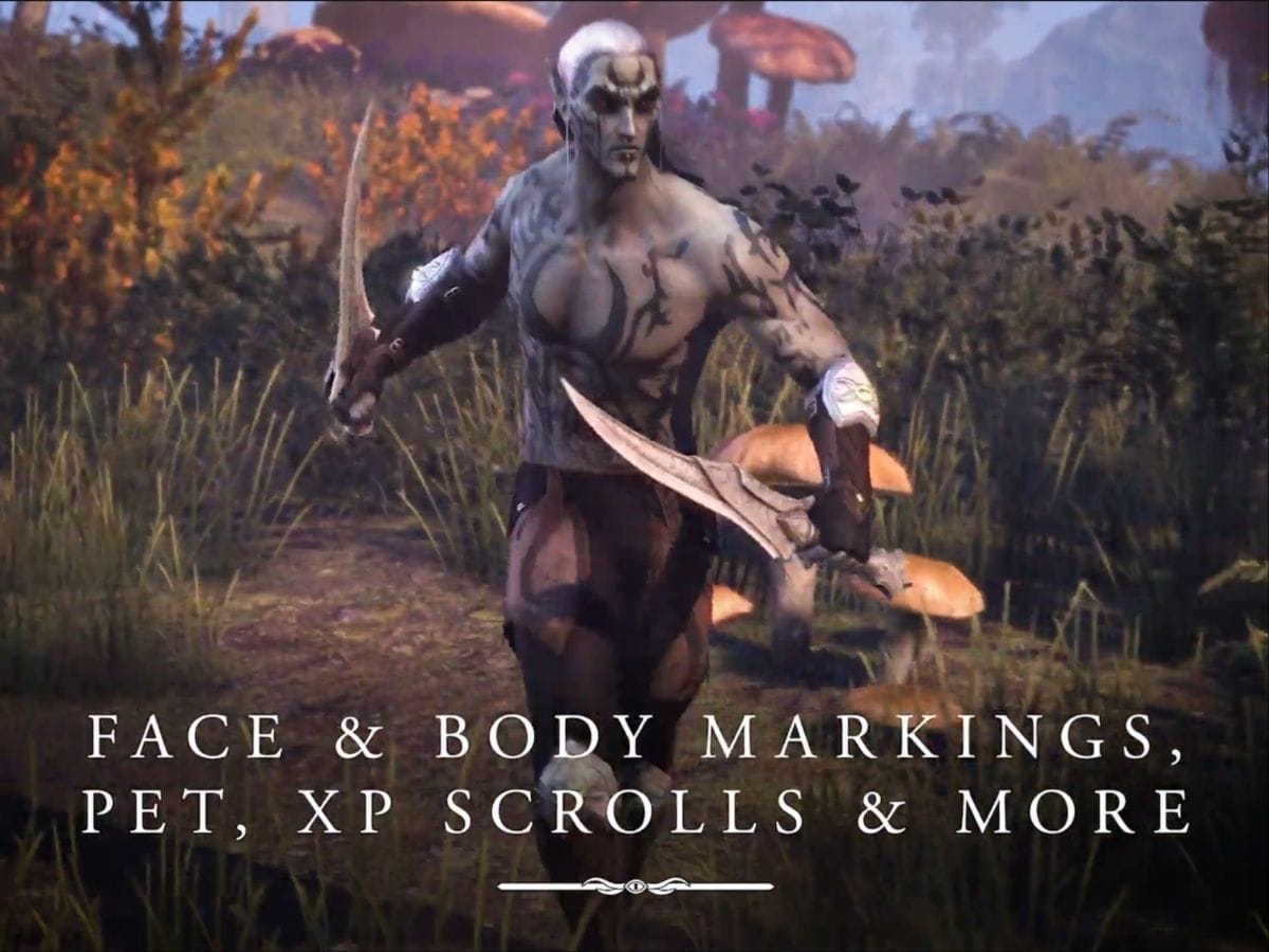 Ascent of the Arcanist: Elder Scrolls Online reveals "Ascent of the ...