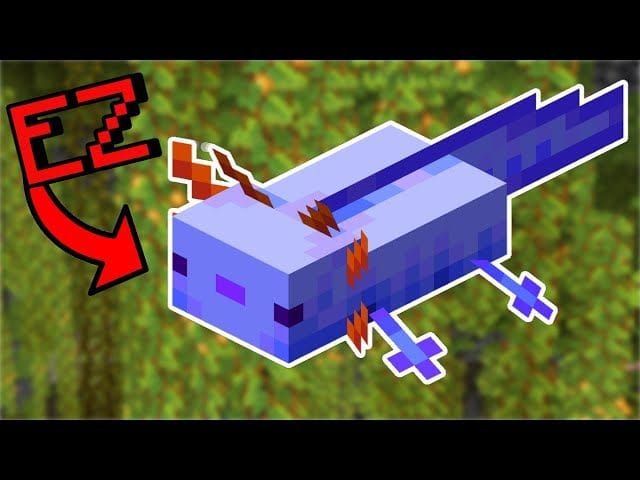 What is the command to summon blue axolotl in Minecraft?