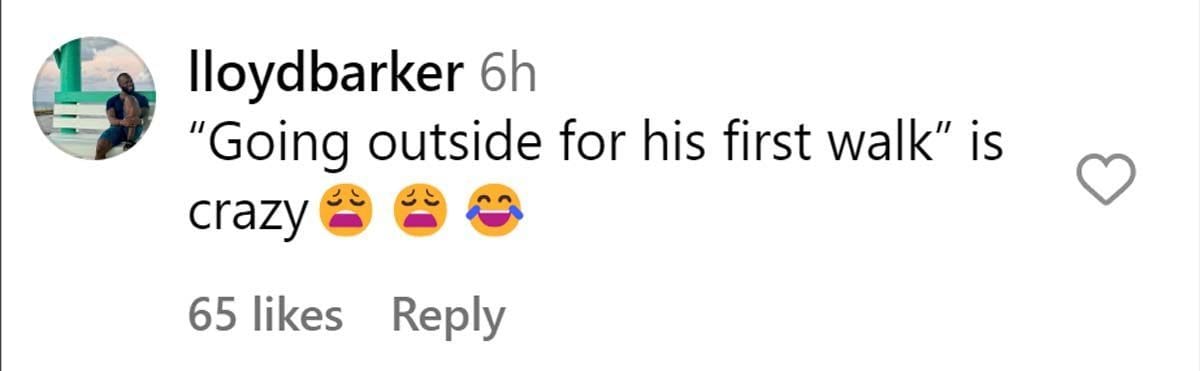 Japanese: "Dude said Animorphs": Toco Japanese man dog costume leaves ...