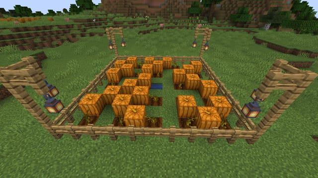 How to make a pumpkin farm in Minecraft 1.20