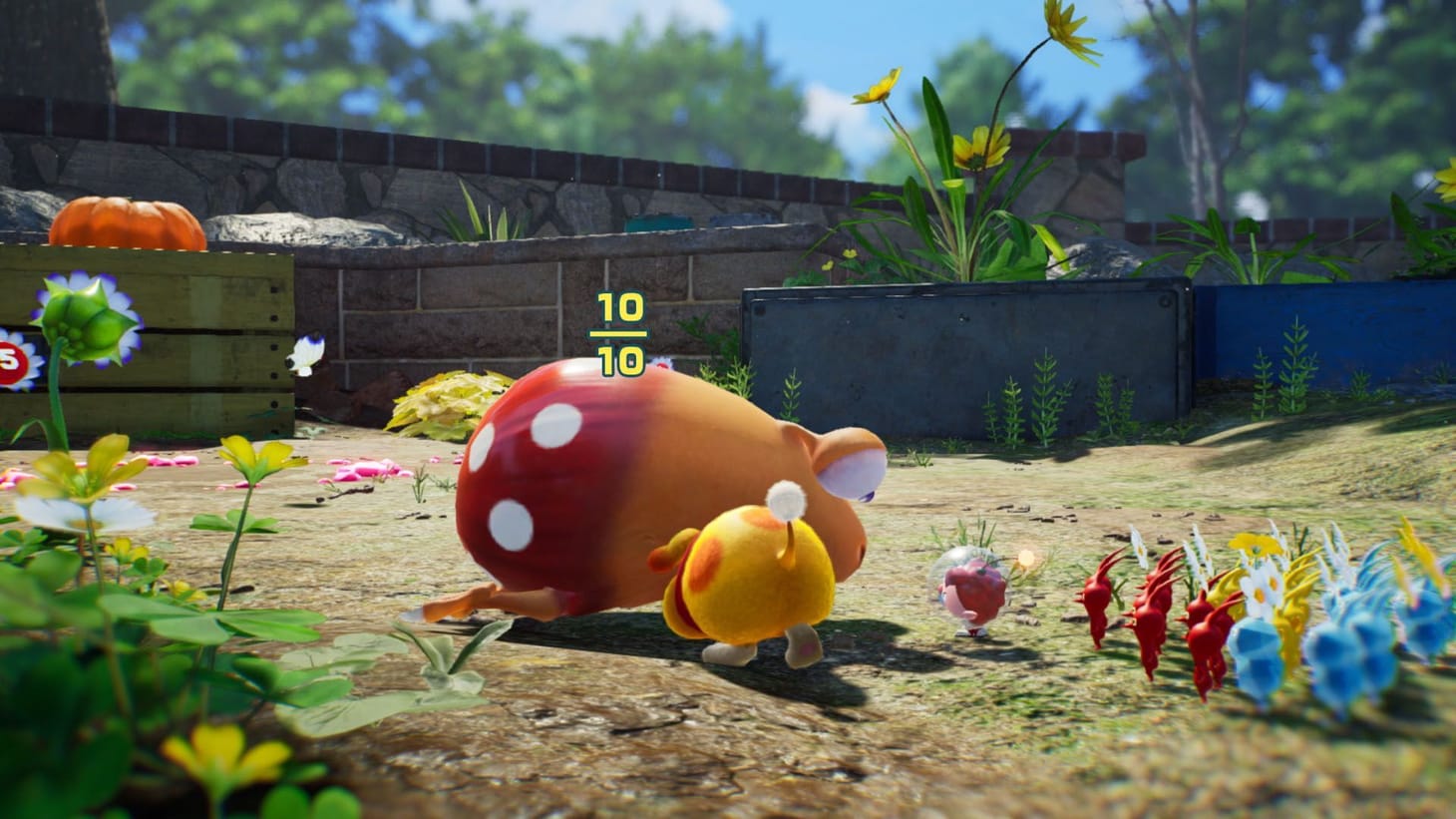 All Pikmin 4 treasures and their locations