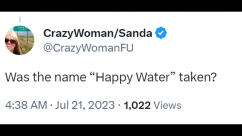 Gay Water: "Bud Light in a different can?": Internet reacts as influencer launches Gay Water drink