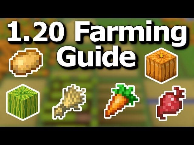 How to make a pumpkin farm in Minecraft 1.20