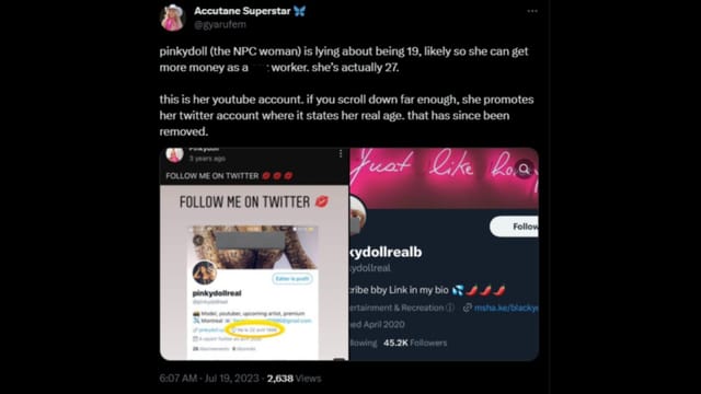 "Literally catering to p*dos": Pinkydoll age controversy explained as ...