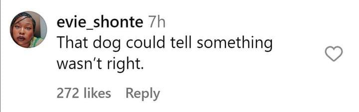 Japanese: "Dude said Animorphs": Toco Japanese man dog costume leaves ...