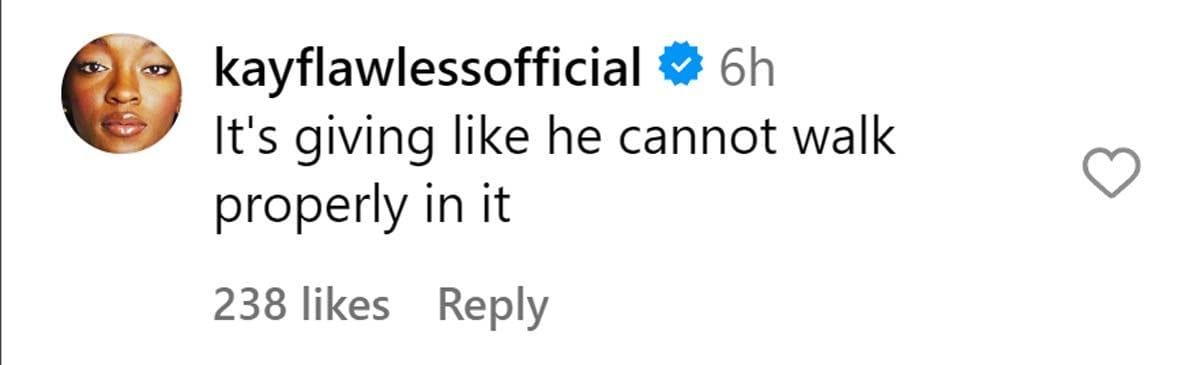 Japanese: "Dude said Animorphs": Toco Japanese man dog costume leaves ...