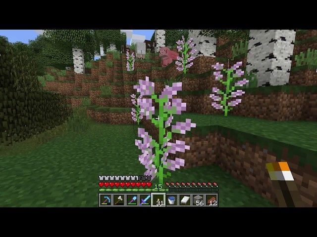 How to get and use every flower in Minecraft 1.20?