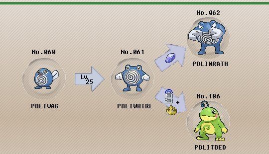 Poliwhirl Evolution