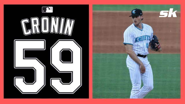 Who is declan cronin: Who is Declan Cronin? White Sox's talented ...