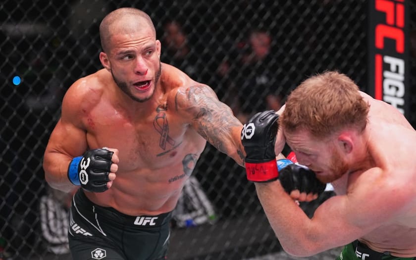 Jack Della Maddalena: "Absolute beast" - Newcomer Bassil Hafez gets top ...