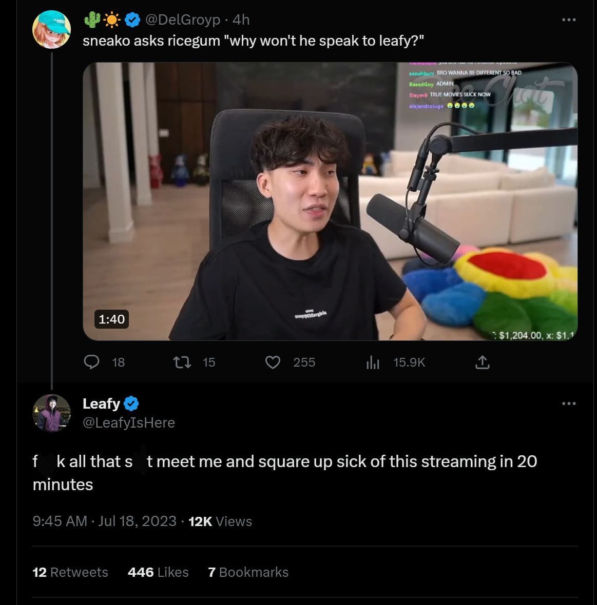 "I just didn't want to give people another reason to hate me" - RiceGum ...
