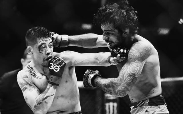 Which judge scored UFC 290 flyweight title fight in favor of Brandon ...