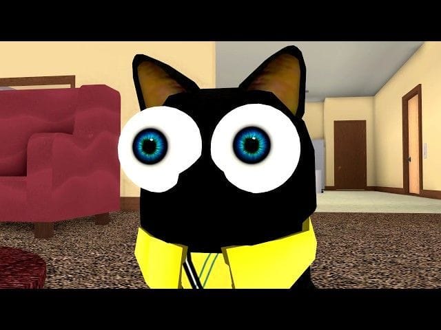 What is Denis Daily's real name?