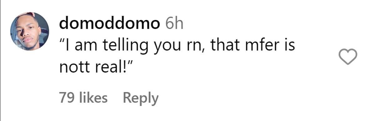 Japanese: "Dude said Animorphs": Toco Japanese man dog costume leaves ...