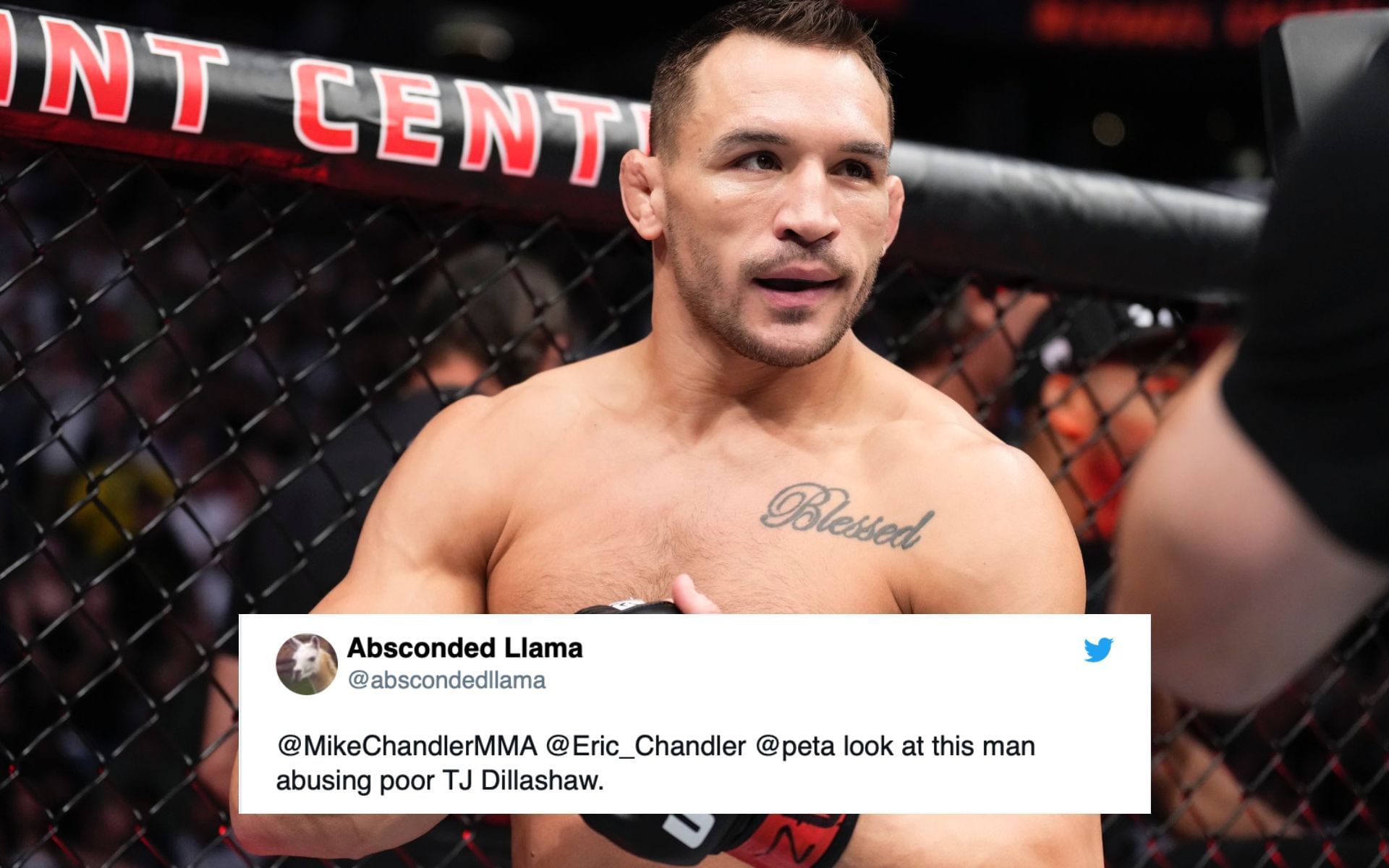 "Look at this man abusing T.J. Dillashaw" - Fans hilariously react to ...